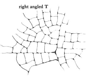 50 T Junctions